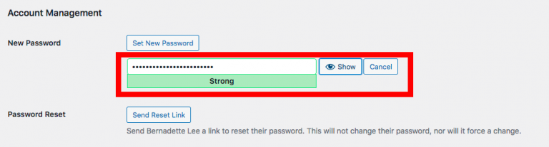 Wordpress Password Reset URL Other Methods Widget Options wordpress-password-reset-url-other-methods-widget-options