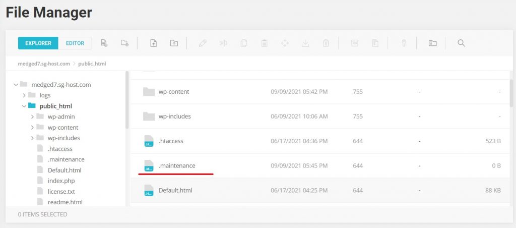 Quick & Easy fix "Automated WordPress update has failed to complete"
